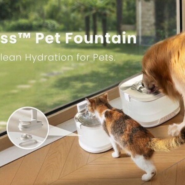 Cheerble Expands Its Pumpless Pet Fountain Lineup with the Launch of ...